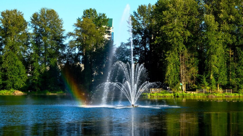 Our Guide to the Best Parks in the Tri-Cities – Tri-Cities Dispatch