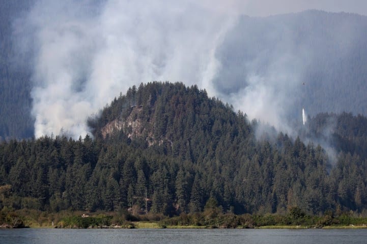 Minnekhada faces 12-month recovery following October's 14-hectare fire ...