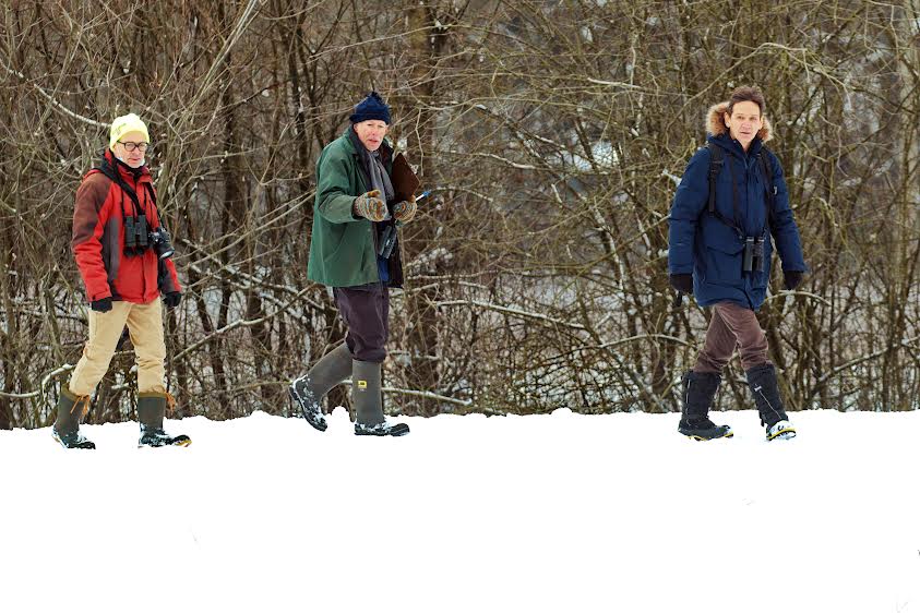 Birders tally 7,700 feathered friends in New Year’s Eve count – Tri ...