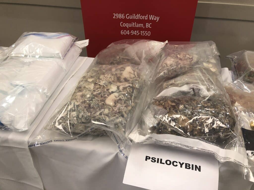 Long-term drug probe by Coquitlam RCMP leads to large seizure; police ...
