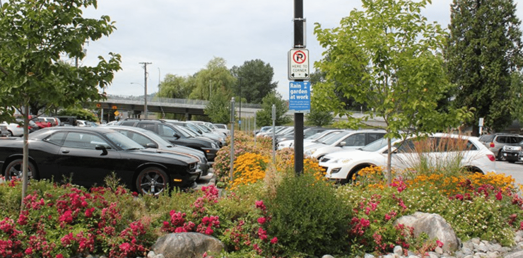 Decision on Port Moody's paid-parking experiment stalled – Tri-Cities ...