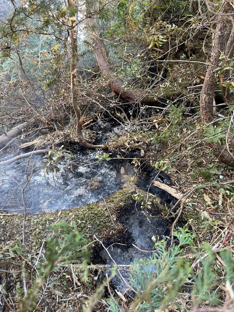 Creeping ground fire in Coquitlam watershed contained – Tri-Cities Dispatch