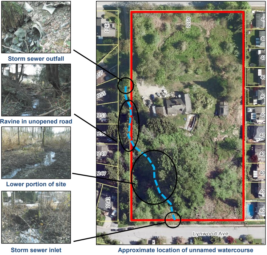 Previously unknown creek in Port Coquitlam could be transformed into ...